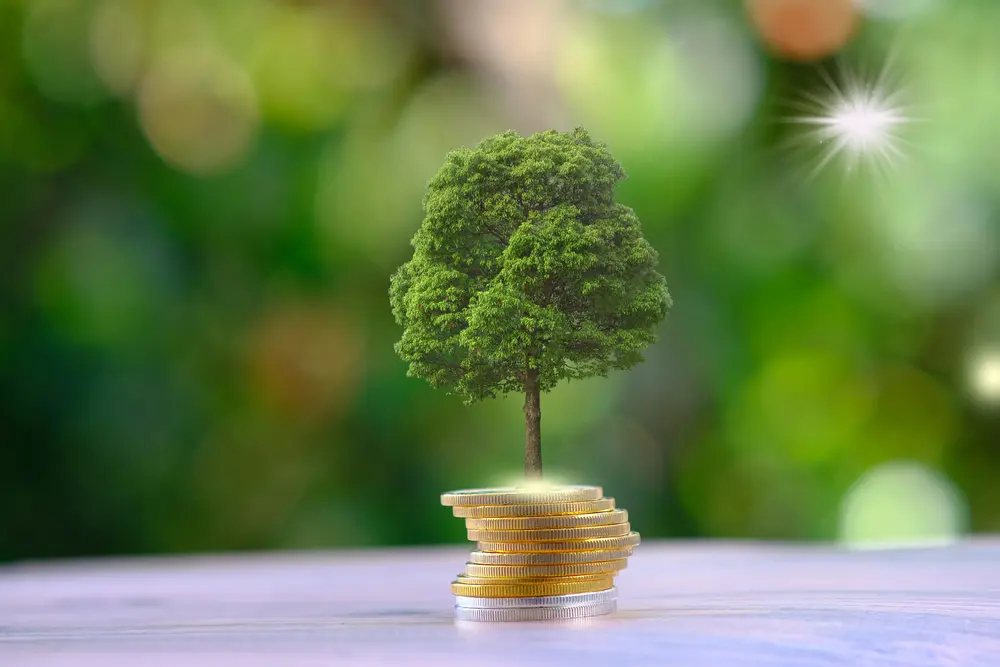 How can one embark on the ultimate path to genuine wealth? - Paramporul ...