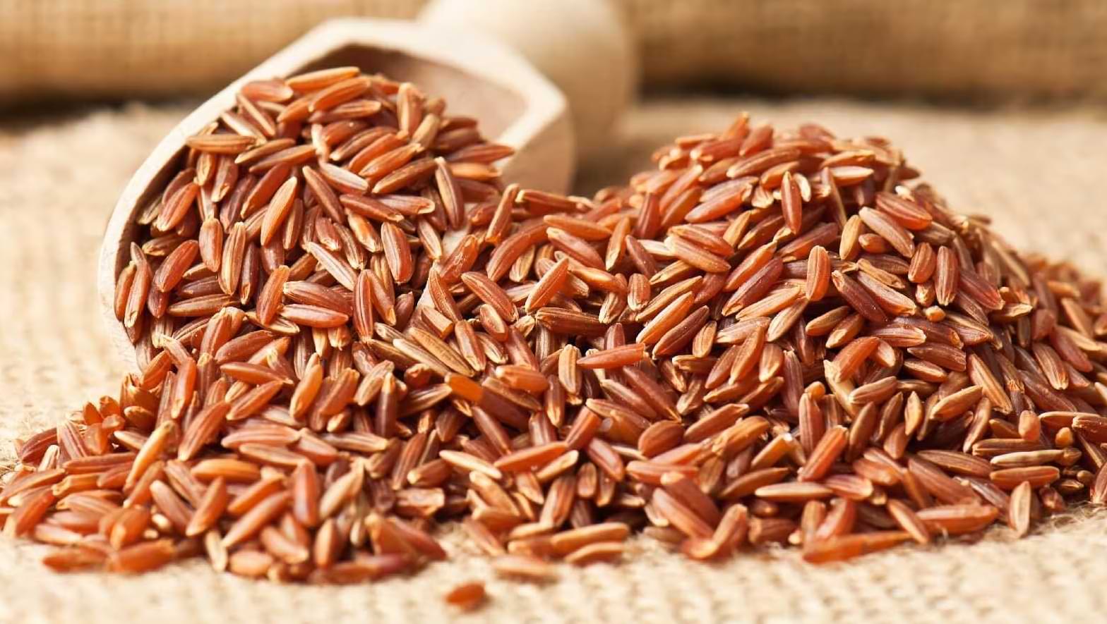 Benefits of Sivappu Rice (Red Rice): A Nutrient-Packed Superfood ...